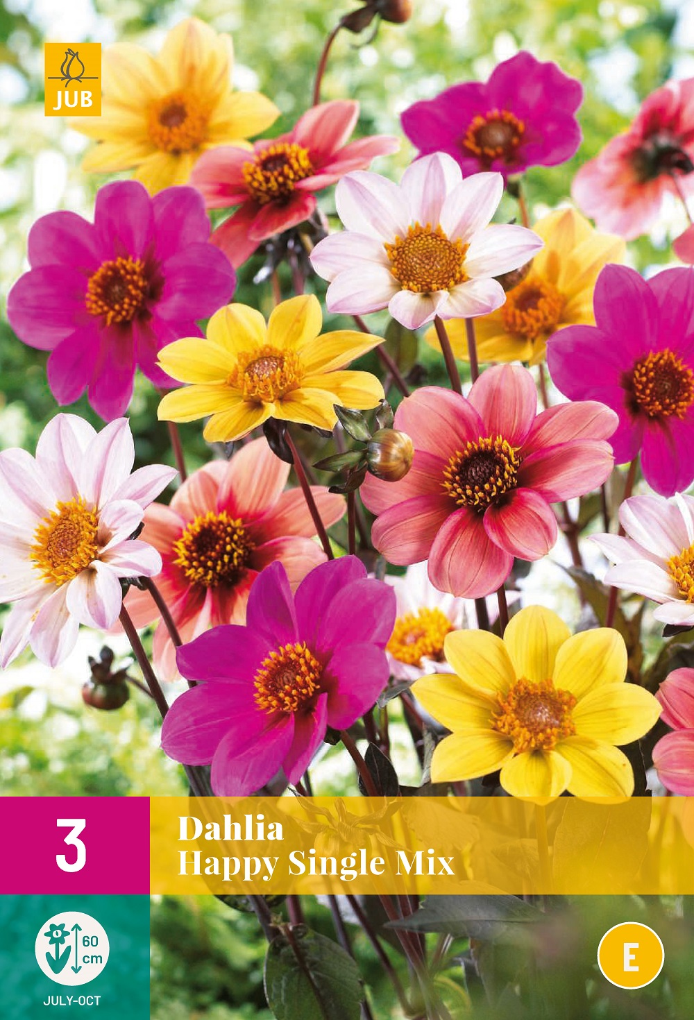 Dahlia Happy Single Mix- Bloembollen - Tuinen-shop.nl