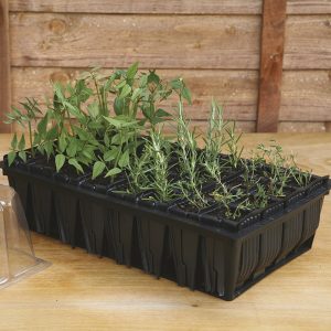 Zaaibakken en zaaipotjes - Tuinenshop.nl