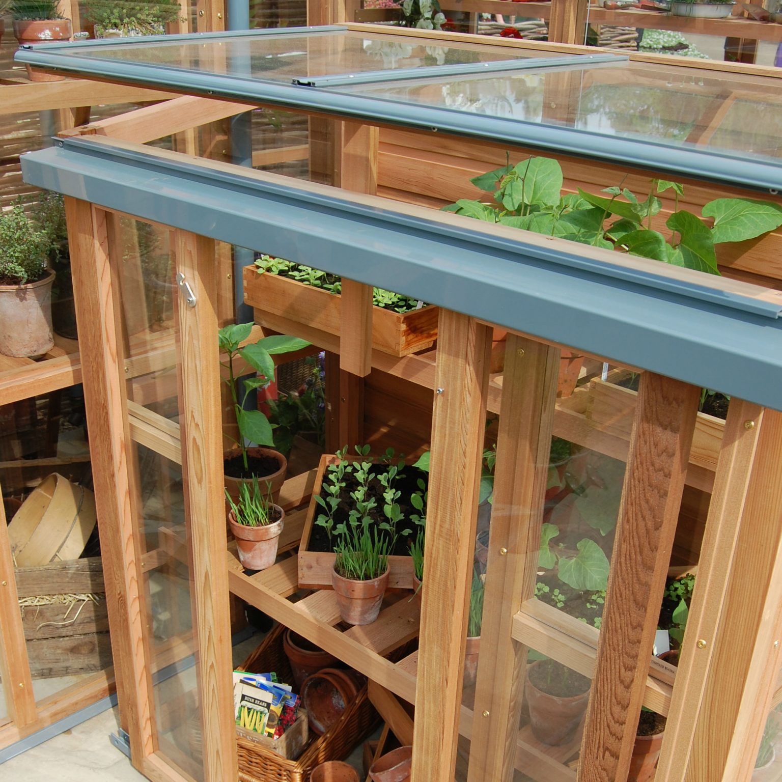 Muurkas New Cedar Garden met veiligheidsglas - Tuinen-shop.nl