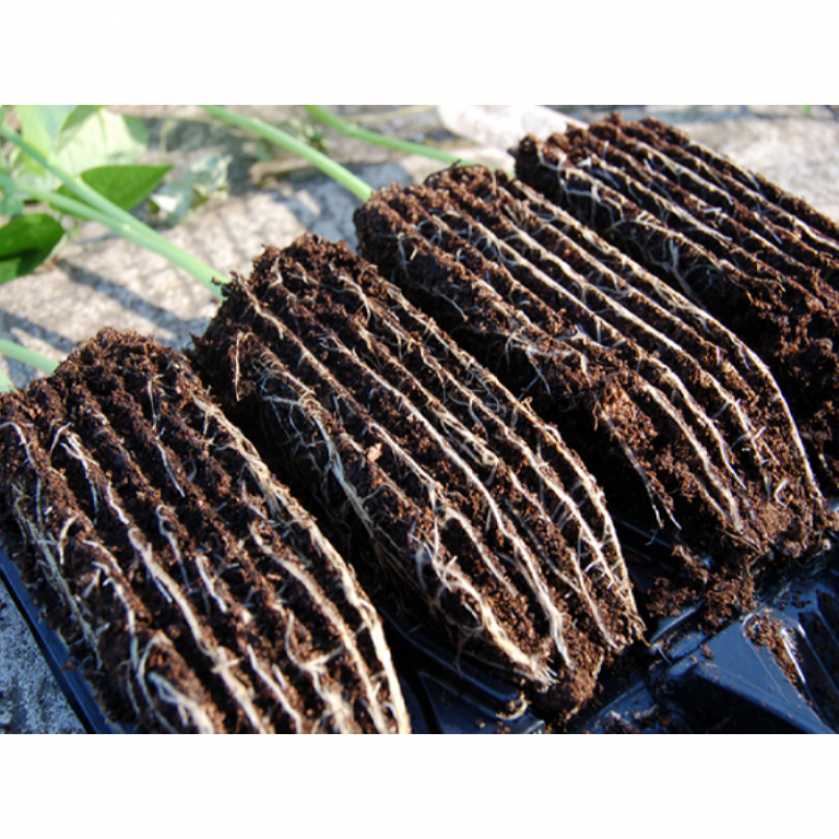 Compact Rapid Rootrainers kweektray - 20 cellen - Tuinen-shop.nl