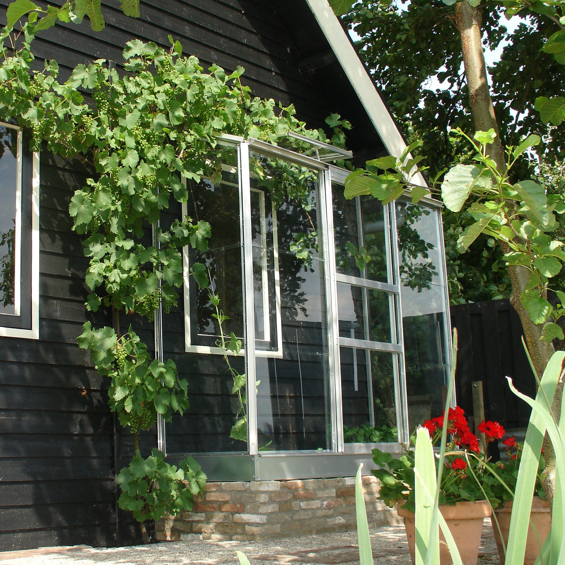 Muurkas Wall Garden 42 - Tuinen-shop.nl