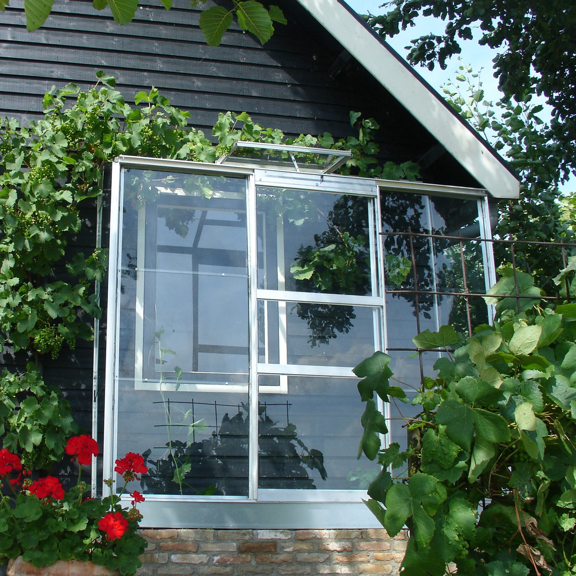 Muurkas Wall Garden 42 - Tuinen-shop.nl