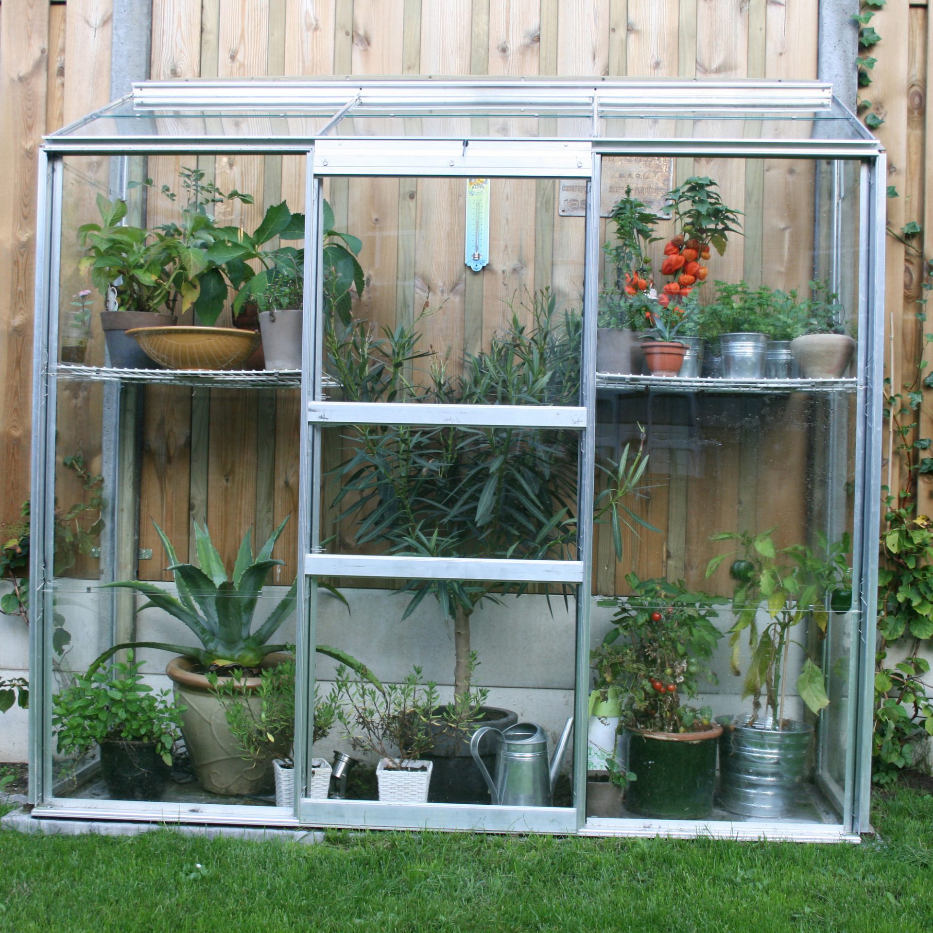 Muurkas Wall Garden 62 - Tuinen-shop.nl