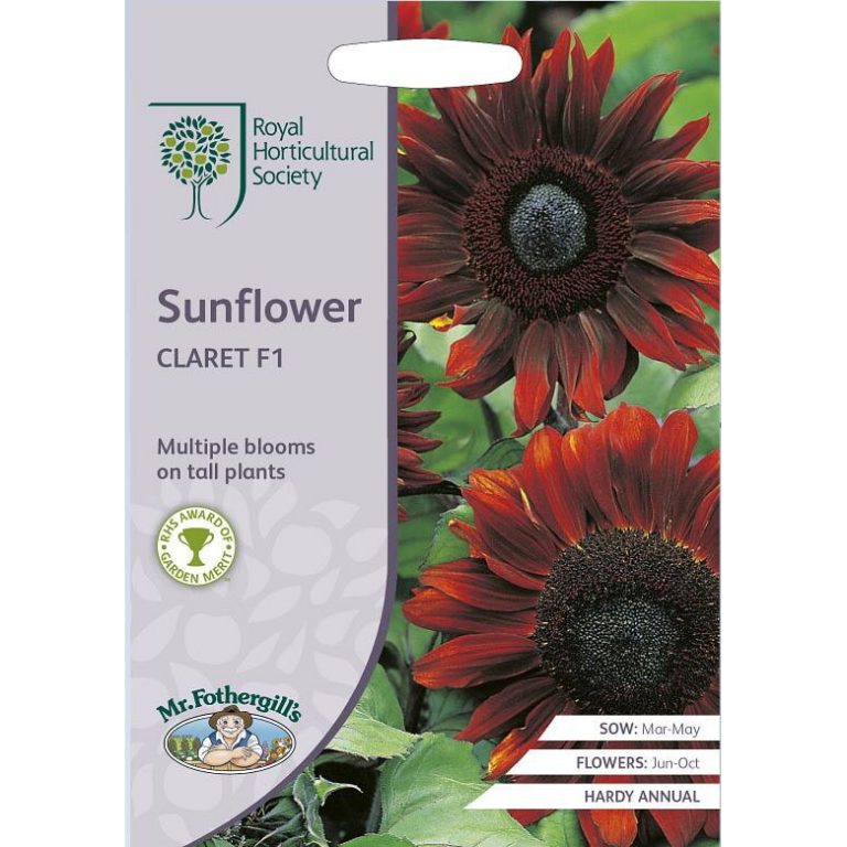 Zonnebloem - Sunflower Claret - RHS Zaden - Tuinen-shop.nl